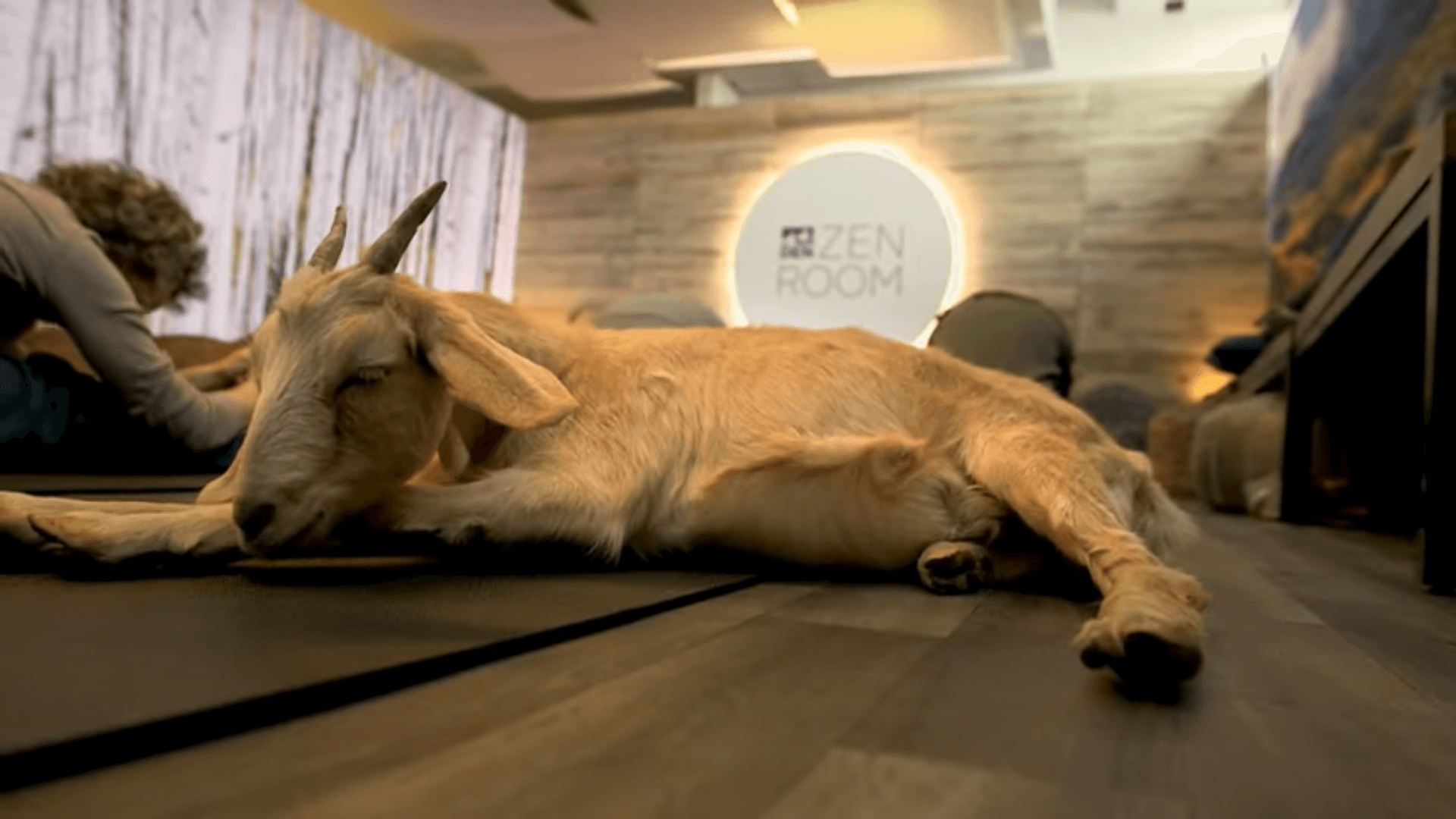 Denver International Airport unveils festive passenger surprises ...