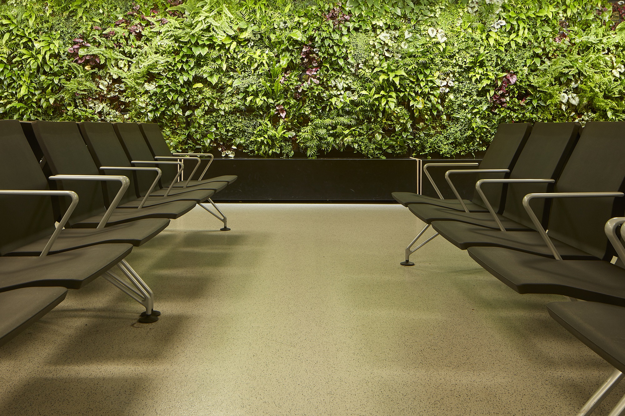 How living walls can transform terminals from ‘non-places’ to natural ...