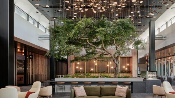 American Express opens its largest Centurion Lounge at Hartsfield ...